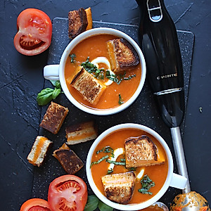 Ovente Electric Immersion Hand Blender 300 Watt 2 Mixing Speed with Stainless Steel Blades, Powerful Portable Easy Control Grip Stick Mixer Perfect for Smoothies, Puree Baby Food & Soup, Black HS560B