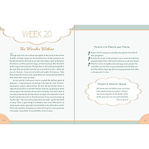 Waiting in Wonder: Growing in Faith While You're Expecting