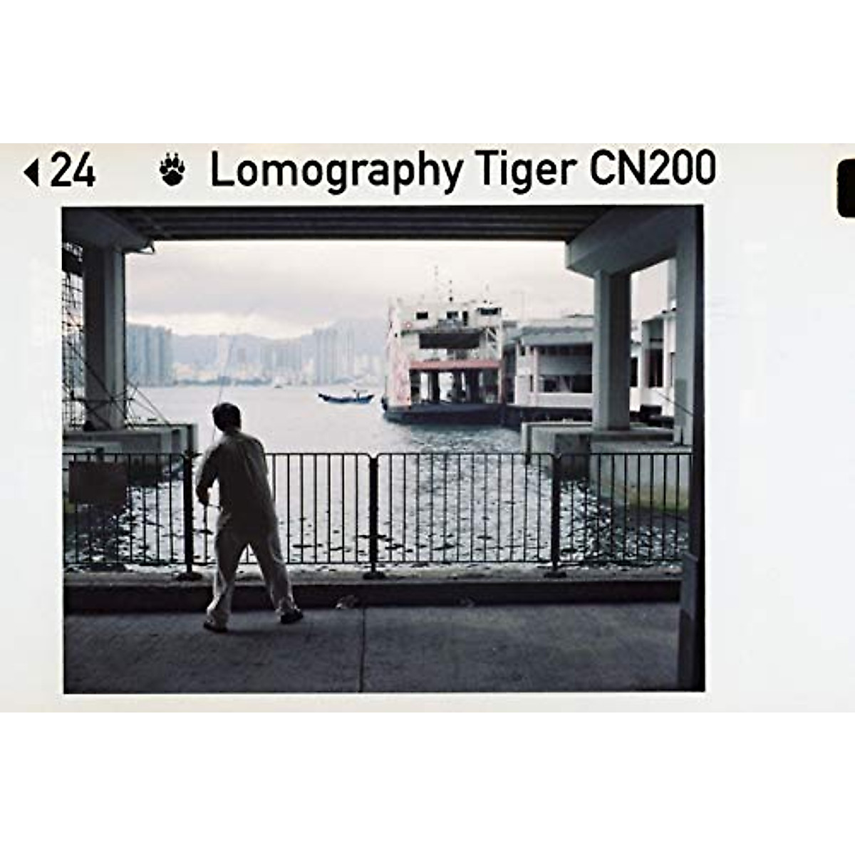 Lomography Color Tiger 110 3 Pack