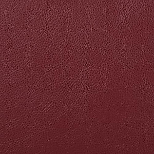 Coaster Camila Motion Sofa, Red