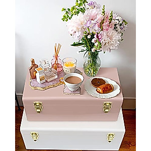 Vixdonos Metal Trunks College Dorm Steel Chests Decorative Storage Box Set of 2 Clothes Organizer for Home Decor,23.7X14.2X9.5 Inches(Pink and White)