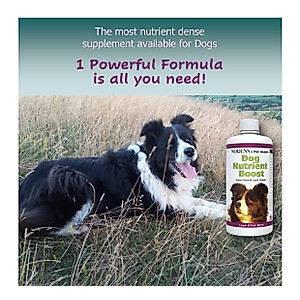 Multi vitamin liquid for dogs probiotics for dogs digestion liquid antioxidants for dogs immune support Salmon omega 3 fish oil liquid - liquid dog vitamins and minerals senior dog multivitamin liquid