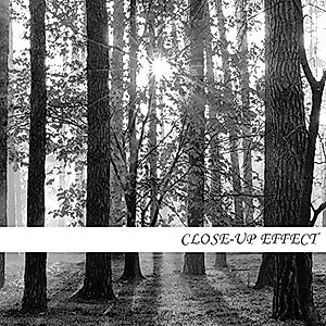 Visual Art Decor 3 Pieces Black and White Sunshine Foggy Forest Trees Canvas Prints Living Room Home Wall Decoration