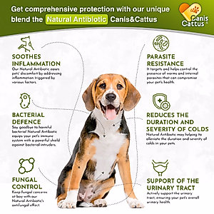 Antibiotics for Dogs | Cat Antibiotic | Pet Antibiotic | Natural Antibiotics for Cats | Dog Antibiotic | Natural Antibiotic for Dogs | Antibiotic for Cats | 2 Oz