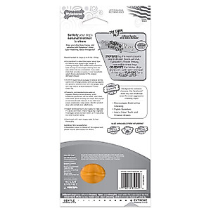 Nylabone Puppy Power Chew Toy - Tough and Durable Puppy Chew Toy for Teething - Puppy Supplies - Beef Broth & Vegetable Flavor, Small (1 Count)