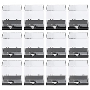 Cabilock Clear Specimen Display Cases 12pcs Plastic Mineral Specimen Storage Cases Square Sample Displaying Boxes Jewelry Organizer Tray