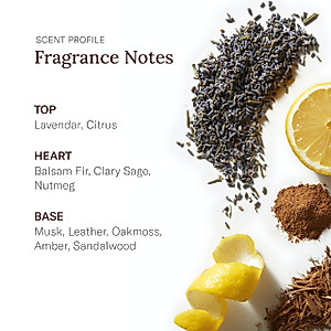 Stetson Preferred Stock by Scent Beauty - Cologne Spray for Men - Leathery, Woody, and Casual Aroma with Fragrance Notes of Cypress, Balsam Fir, and Sandalwood - 2.5 Fl Oz