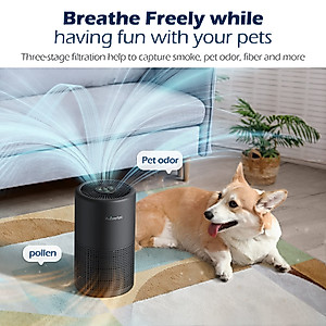 Air Purifiers for Bedroom Home, H13 True HEPA Air Filter, 20db Quiet Air Purifier for Dust Smoke Pollen Dander Pet Odor, Small Air Cleaner for Office Living Room, Ozone Free, 215 ft² Coverage