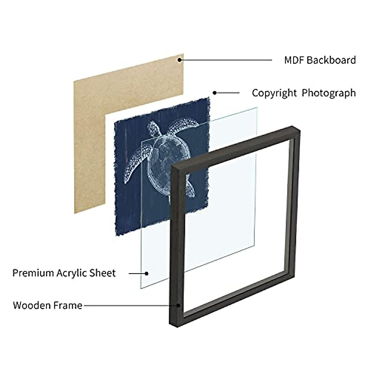 Sea life Art Framed Artwork: Coastal Pictures Ocean Theme Square Collection Set of 4 Wall Decor Set Prints for Bedroom (Multi-Style)