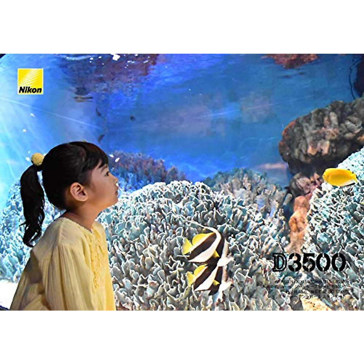 Nikon AF-P DX NIKKOR 18-55mm f/3.5-5.6G VR Lens for Nikon DSLR Cameras