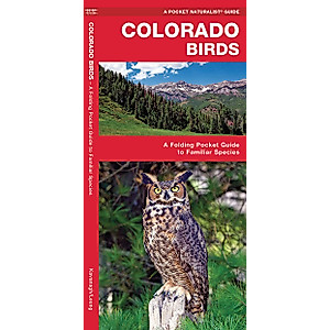 Colorado Birds: A Folding Pocket Guide to Familiar Species (Nature Observation North America)