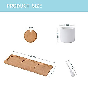 TAMAYKIM 8 OZ Porcelain Condiment Jars, Seasoning Boxes with Spoons and Bamboo Cover, Ceramic Sugar Bowls with Lid, Condiment Container for Kitchen, Pack of 6