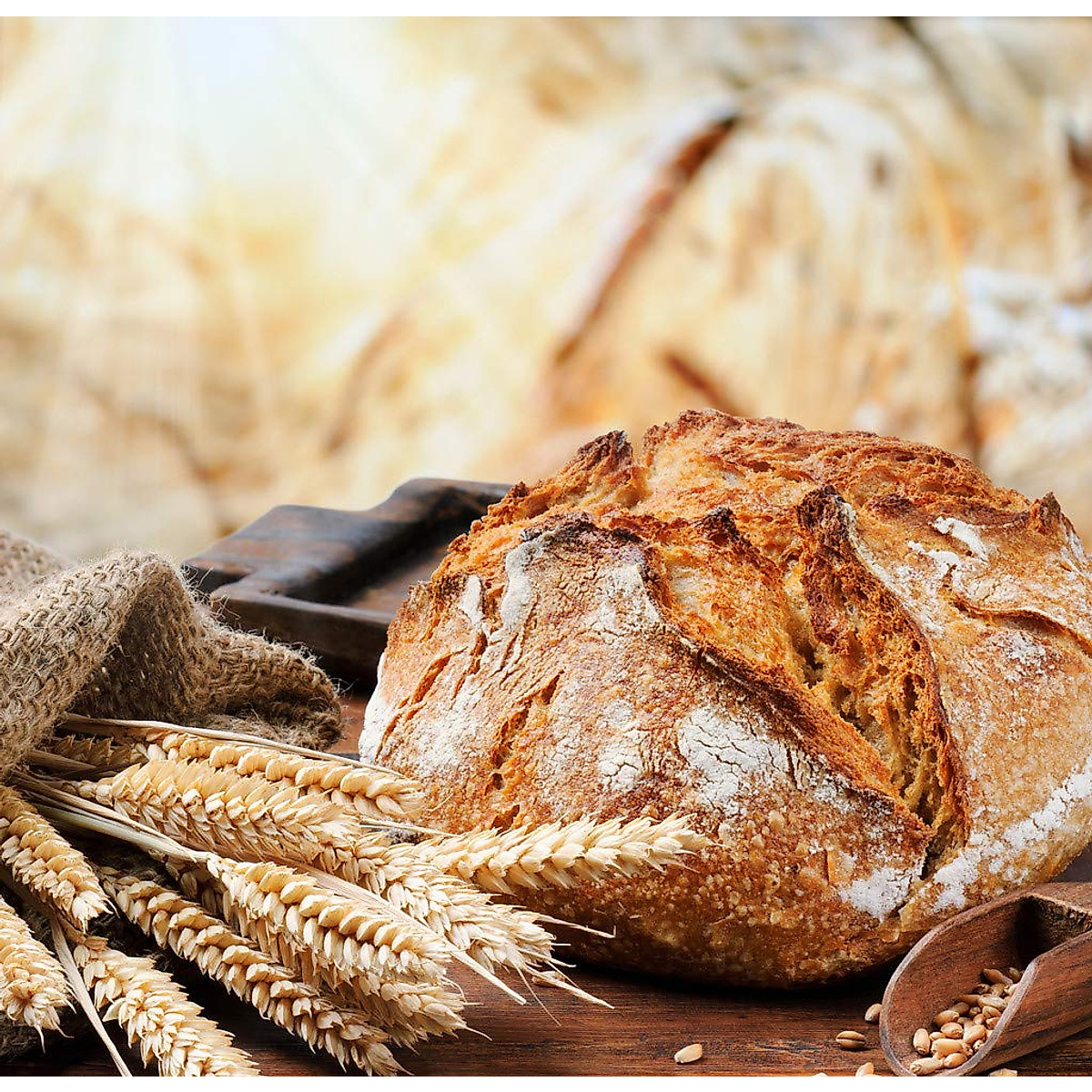 2pcs 7" Banneton Proofing Basket Round Bread Brotform with Liner Eco-Friendly Natural Rattan for Professional & Home Bakers