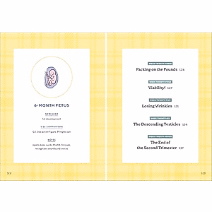 We're Pregnant! The First Time Dad's Pregnancy Handbook