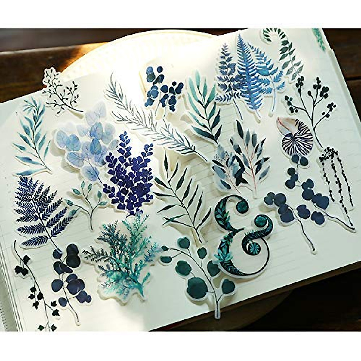 56PCS Middle Size Plants Scrapbook Stickers - Doraking DIY Decoration Transparent Sulfuric Paper Plants Stickers for Scrapbook Decoration Without Repeat