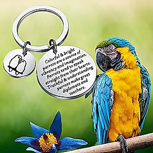 bobauna Parrot Parakeet Keychain Cockatiel Bird Jewelry Colorful And Bright Parrots Are A Source Of Vibrancy And Imagination (colorful bright parrot keychain)