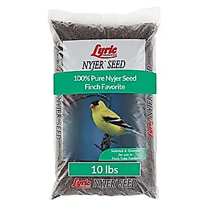 Lyric Nyjer Seed Wild Bird Seed Finch Food - Attracts Goldfinches, House Finches & Purple Finches -10 lb Bag