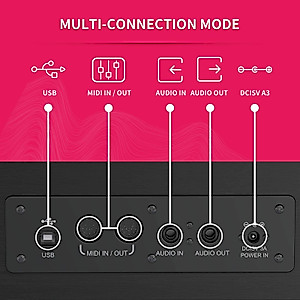 LAGRIMA LAG-800 88 Key Digital Piano Full Size Electric Keyboard w/Music Stand+Power Adapter+3-Pedal Board+Instruction Book+Headphone Jack for Beginner/Adults, Black(Piano Only)