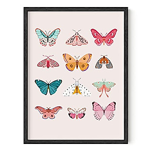 HAUS AND HUES Vintage Butterfly Posters & Butterfly Prints - Butterfly Poster Vintage Butterfly Art Wall Decor & Butterfly Art Prints Monarch Butterfly Wall Art & Butterflies Print UNFRAMED (12"x16")