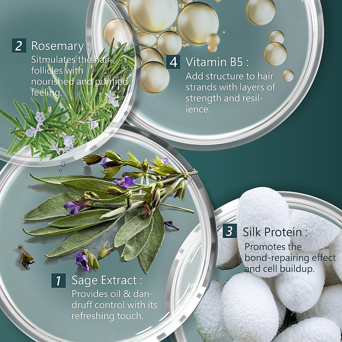 SH-RD Sage Purifying Shampoo for Oily Scalp | Deep Cleansing, Rebalancing, Hydrating Dandruff Scalps | Safe for Flat Hair & All Hair Types, | Sulfate-, Silicone-Free Oil Control Shampoo -6.76oz/200ml