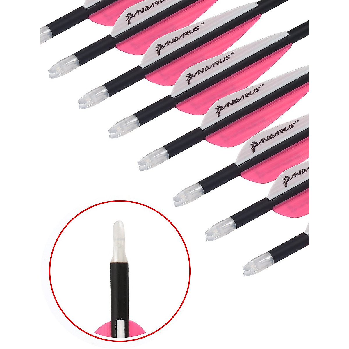 PANDARUS Archery Carbon Arrows 28-Inch Safety Beginner's Target Practice for Compound & Recuve Bow - (Pack of 12) Pink
