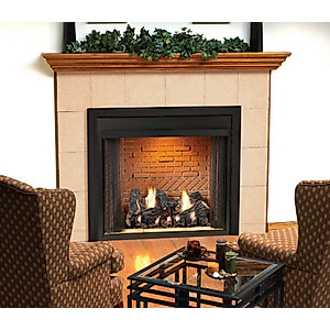 Empire Comfort Systems Deluxe 36" Vent-Free Firebox with Louver Refractory Liner