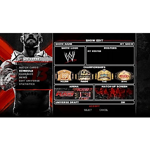 WWE '13