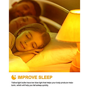 Bug Light Bulbs Outdoor, 40W Equivalent Amber Yellow LED Bug Lights for Outside, 6W 500LM 2000K for Porch Lights, Non-Attracting, Not-Dimmable A19 Bulb for Patio, Deck, Backyard, Hallway, 2 Pack