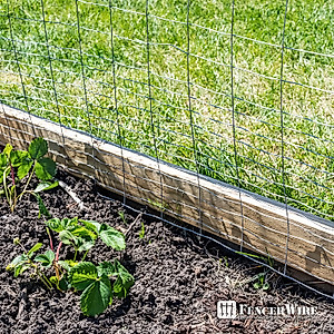 Fencer Wire 16 Gauge Galvanized Super Rabbit Guard Garden Fence, Welded Wire Fence for Preventing Rabbits, Dogs, Cats, Chickens, and Other Small Animals from Damaging The Garden (24 in. x 50 ft.)