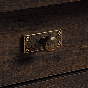 Sauder Costa Library Base, L: 31.30" x W: 14.41" x H: 30.00", Coffee Oak finish