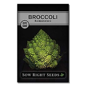 Sow Right Seeds - Romanesco Broccoli Seeds for Planting - Non-GMO Heirloom Packet with Instructions to Plant an Outdoor Home Vegetable Garden - Great for Salads - Abundant Harvest - Cold Hardy (1)