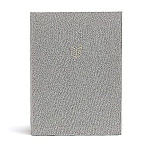 CSB She Reads Truth Bible, Gray Linen Cloth Over Board, Black Letter, Full-Color Design, Wide Margins, Notetaking Space, Devotionals, Reading Plans, Easy-To-Read Bible Serif Type