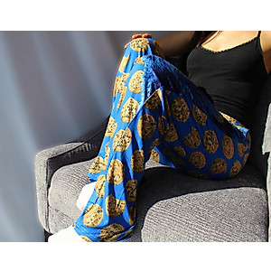 BRIEF INSANITY Sesame Street Adult Lounge Pajama Pants - Comfy, Loose-Fit, Ultra-Soft - Cookie Monster Sleep Bottoms (Large, Cookie Monster)