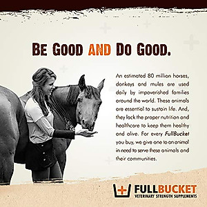 FullBucket Equine Probiotic Granules with Saccharomyces boulardii for Daily Digestive Optimization; Concentrated Formula with 25 Billion CFUs - 30 Servings