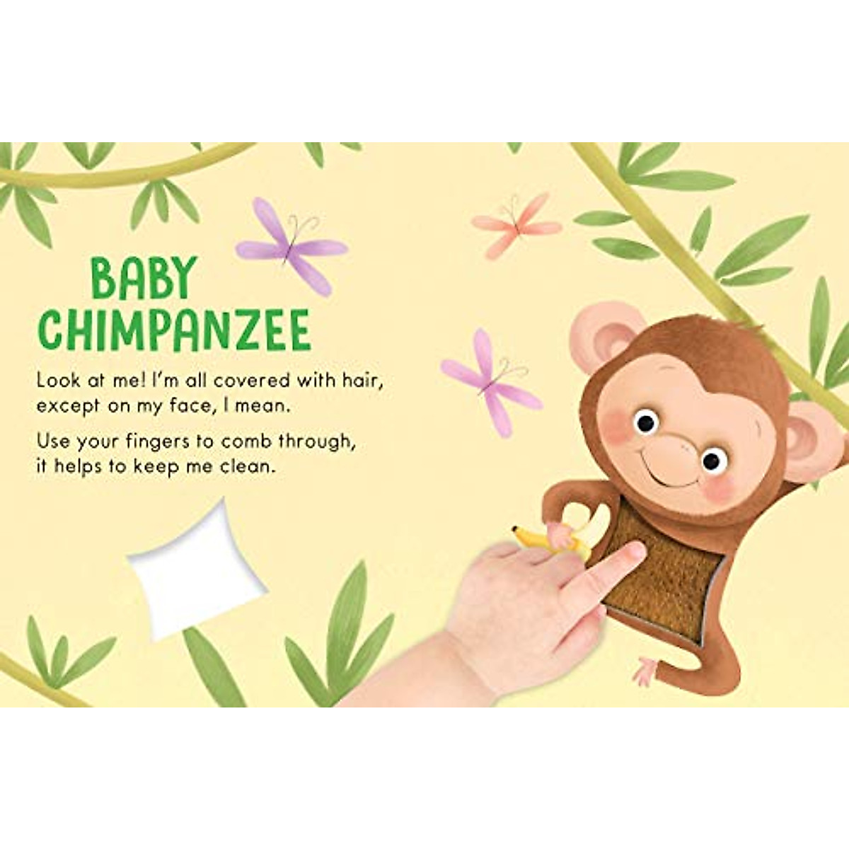 Baby Animals: A Touch and Feel Book - Children's Board Book - Educational