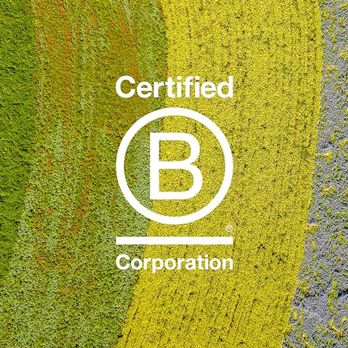 Davines Melu Shampoo, 8.45 Fl Oz