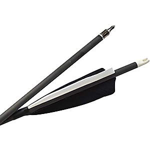 SHARROW 6/12 PCS Carbon Arrow 34 Inch Archery Arrow Spine 500 Turkey Feather Practice and Hunting Arrows with Removable Tips for Compound Bow and Recurve Bow