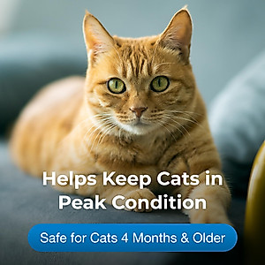 Pet-Ag Vitamin & Mineral Gel Supplement for Cats - 3.5 oz - Provides Basic Daily Vitamins & Minerals for Cats 4 Months and Older - Easy to Digest