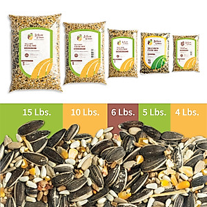 Gourmet Wild Bird Food Mix (6 LBS) Blend For Cardinals, Chickadees, Nuthatches, Woodpeckers and Songbirds