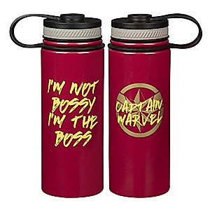 The Marvels: Captain Marvel Stainless Steel Travel Bottle, 18oz - Insulated Thermos To-go Bottle for Coffee, Water and More - Great Avengers Movie Gift for Kids, Teens and Adults