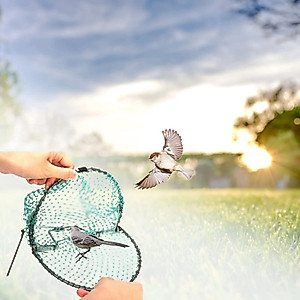 WBTY Catching Bird Net Bird Pigeon Humane Live Trap Mesh for Sparrows ...