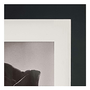 FUNTRESS Pictures Frame Collages for Diplomas Wall Hanging Poster Frame Wooden Living Room Pictures Frame with Mat (10x14 2 Pieces, Black)