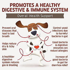 Probiotics for Dogs - Hot Spot Remedy for Dogs + Prebiotic - Dog Allergy Chews - Improve Digestion & Upset Tummy, Relieve Gas & Diarrhea, Dog Probiotics and Digestive Enzymes, 120 Dog Probiotic Chews