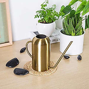 LIYJTK Stainless Steel Long Spout Watering Can Garden Watering Pot Irrigation Tool Bonsai Plants Garden Pot Flower Watering Can Irrigation Tool(Gold 1.5L)