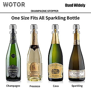 WOTOR Champagne Stoppers with Stainless Steel Champagne Bottle Stopper with Food Grade Silicone Reusable Champagne Cork, Saver Suitable for Champagne, Cava, Prosecco, Sparkling Wine (Silver, 2pack)
