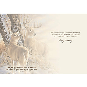 HTL Card-Boxed-Birthday-Whitetail Deer (Box of 12)