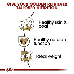 Royal Canin Golden Retriever Adult Dry Dog Food, 17 lb Bag