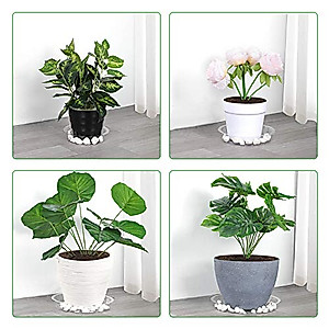 GROWNEER 24 Pack of 6, 8, 10, 12 Inches Clear Plant Saucer Drip Trays, with 15 Pcs Plant Labels, Plastic Plant Pot Saucers Flower Pot Set for Indoor Outdoor Garden, Assorted Sizes, 6 Pcs of Each Size