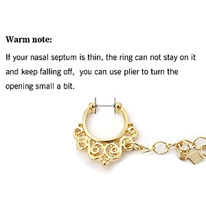 Honbay Body Jewelry Fake Septum Ring Non Piercing Nose Rings with Chain Nose to Ear Chain with Tassel (Gold)