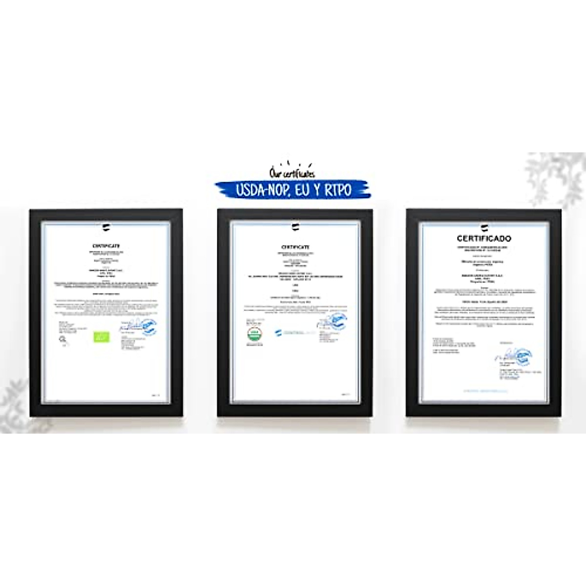 Amazon Andes – Brazil Nuts Oil – Sotfgel Capsules – 100 * 500mg - USDA NOP Organic Certified – Rich Selenium and Zinc Source - Vegan - Non GMO – Gluten Free